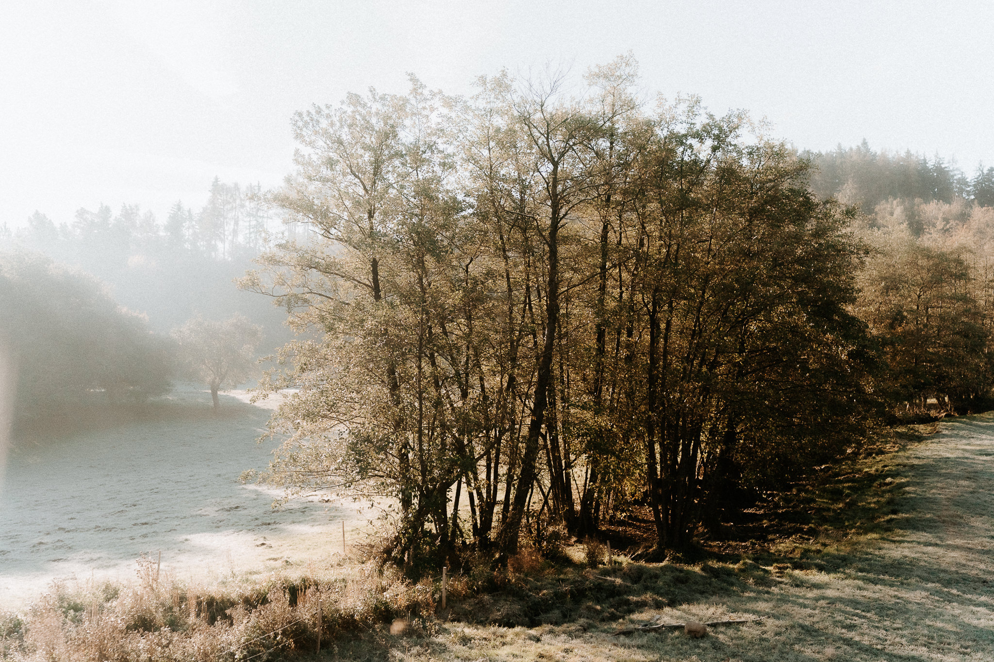 Na Kašpárkách | HolecPhoto